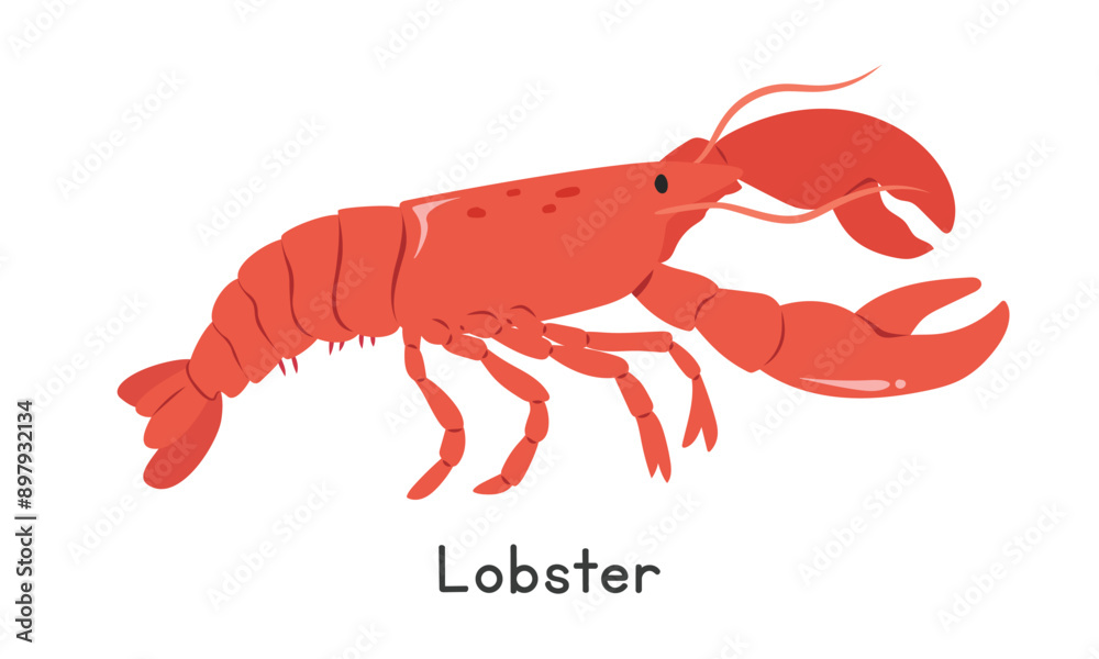 Lobster vector illustration, cartoon clipart, animal in flat style. Sea ...