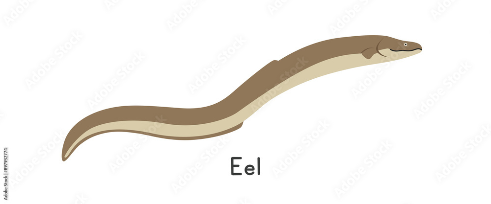Eel vector illustration, cartoon clipart, animal in flat style. Sea ...