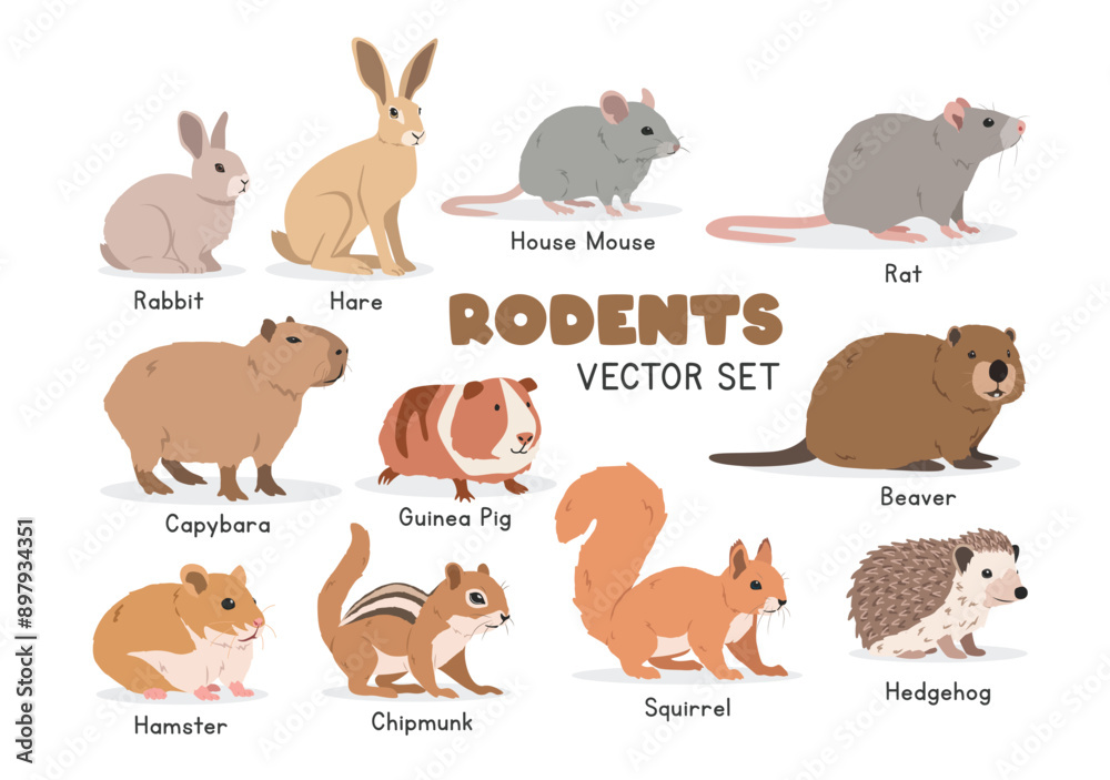 Rodents vector illustration set. Rodent species cartoon clipart set in ...