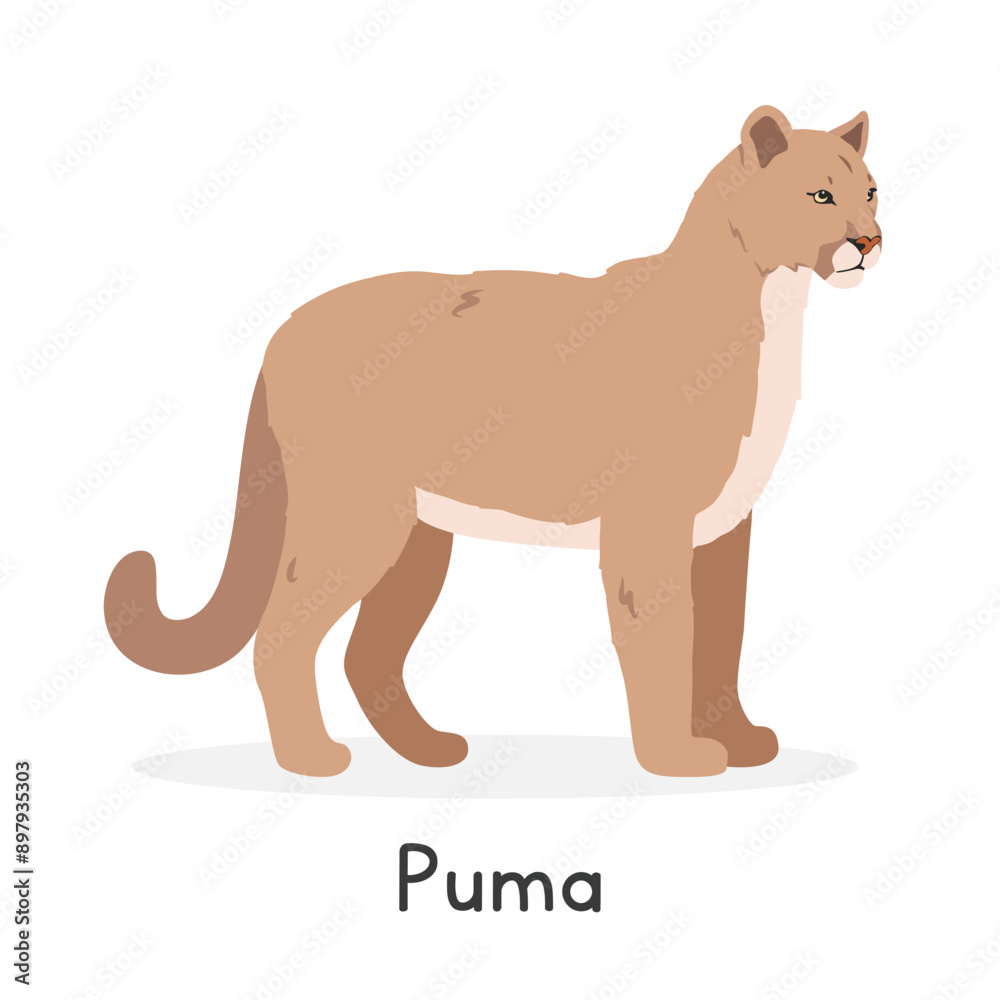 Puma vector illustration, cartoon clipart character, animal in flat ...