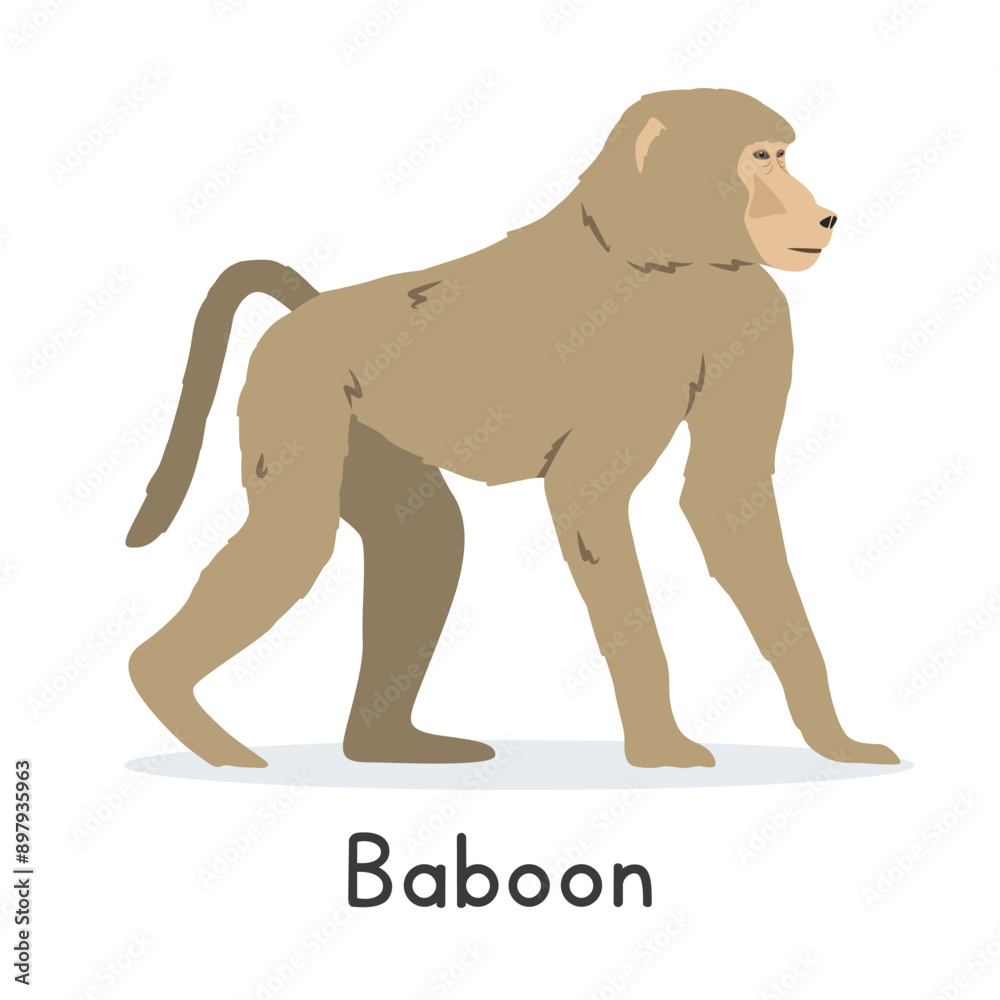 Olive baboon vector illustration, cartoon clipart character, animal in ...