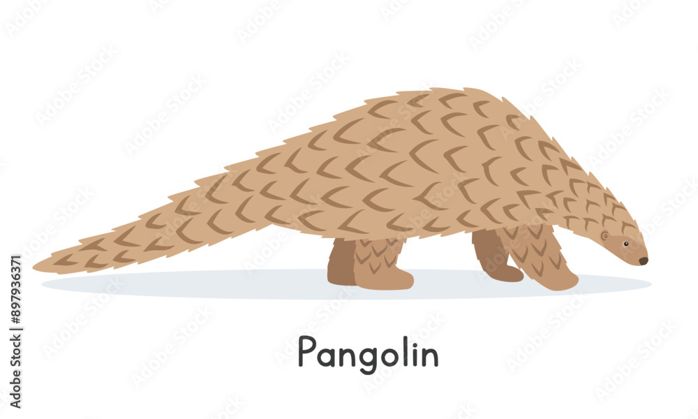 Giant pangolin vector illustration, cartoon clipart character, animal ...