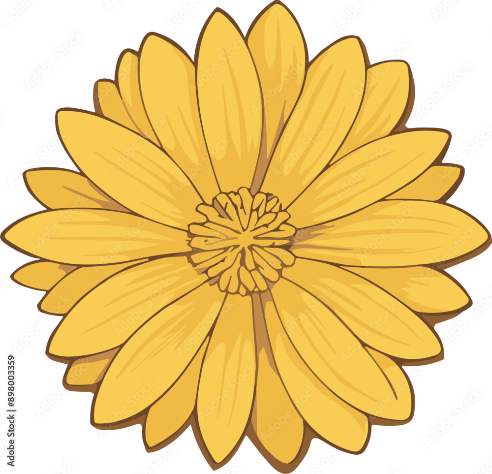 Isolated yellow flower drawing cartoon illustration on transparent ...
