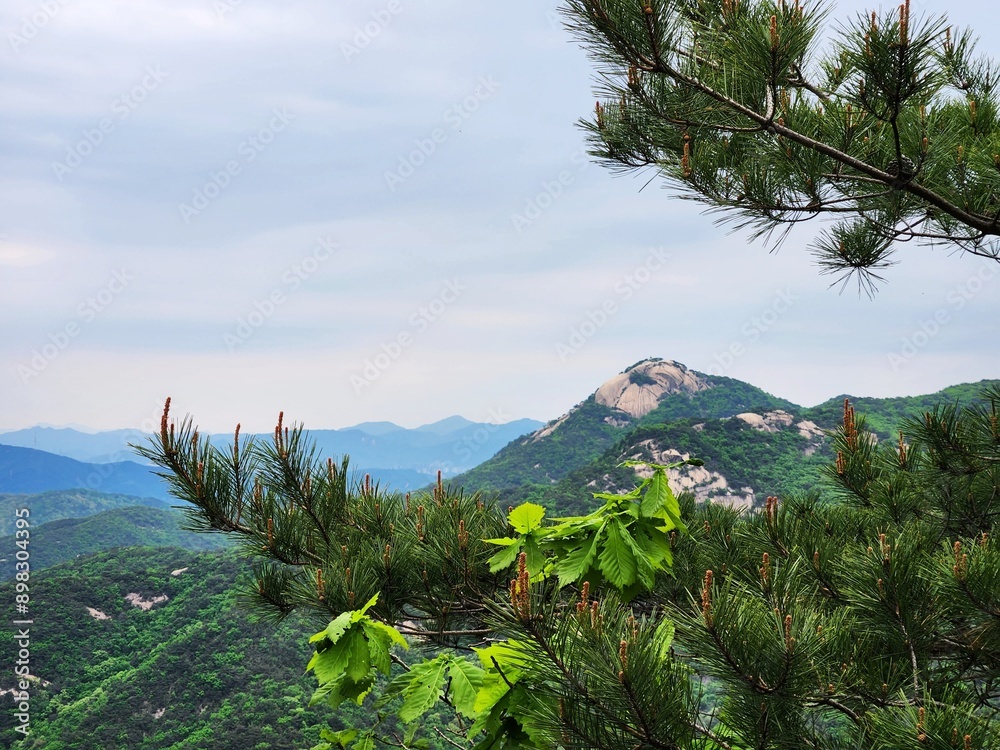 Image of summer scenery of Dobongsan Mountain near Seoul, Korea. Hiking ...