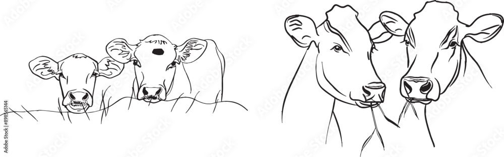 This is a single continuous line drawing of a cow on pasture. The milk ...