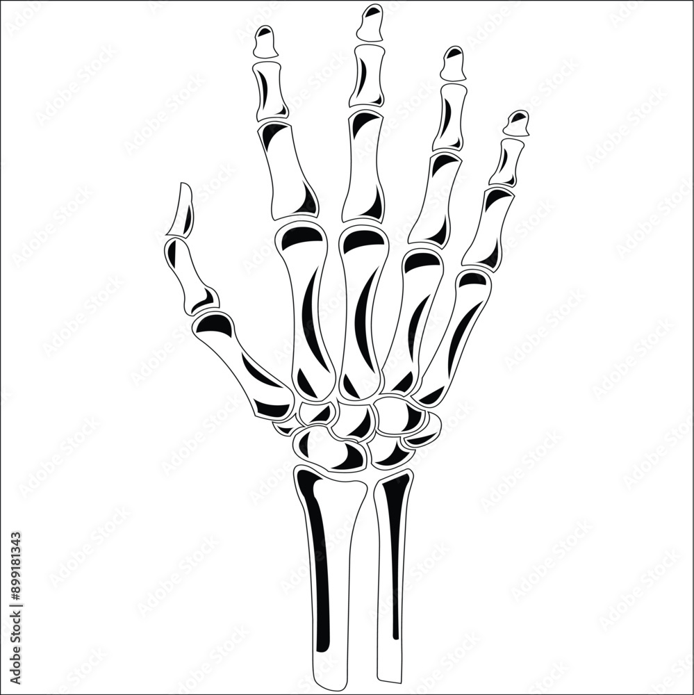 Skeleton Hands, Skeleton, Skull Skeleton Hand - Skeleton Silhouette ...