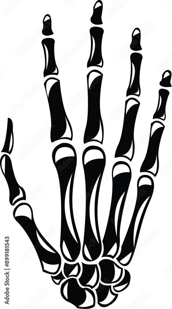 Skeleton Hands EPS, Skeleton Eps, Skull Skeleton Hand Clipart ...