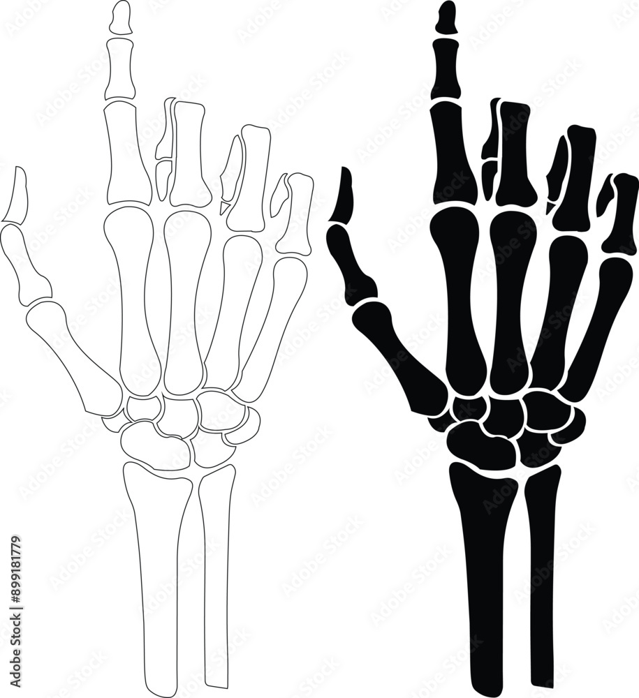 Skeleton Pointing Hands, Skeleton Hands, Skeleton - Skeleton hand ...