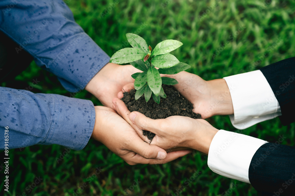 Business hands holding green plant tree together for sustainable environment Ecosystem ...