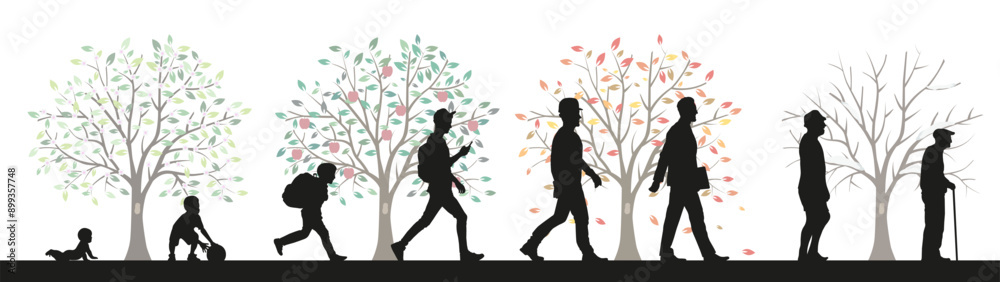 Poster Men, stages of development – Wall Art | UkPosters