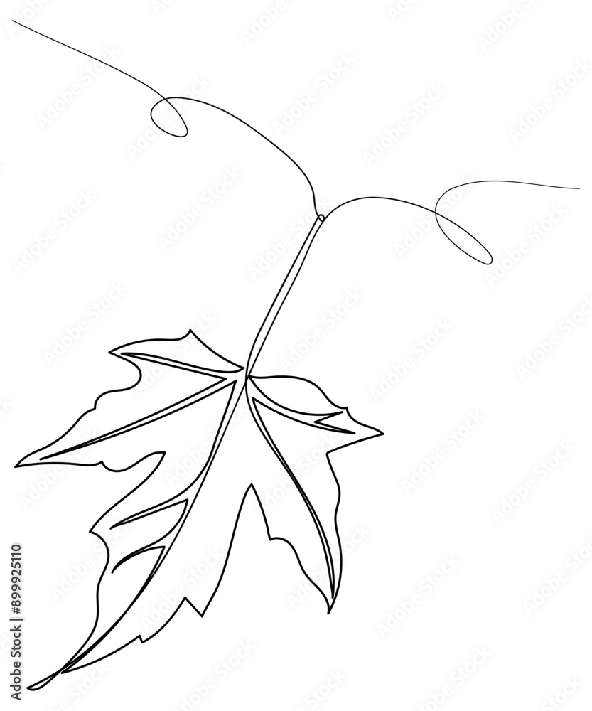 Maple leaf with line art style. Maple leaf design in one line. Vector ...