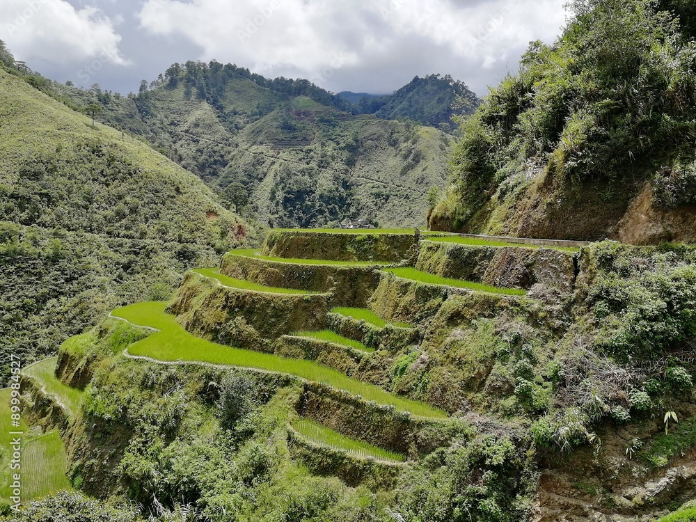 Rice Terraces of the Philippine Cordilleras, rice fields in Banaue ...