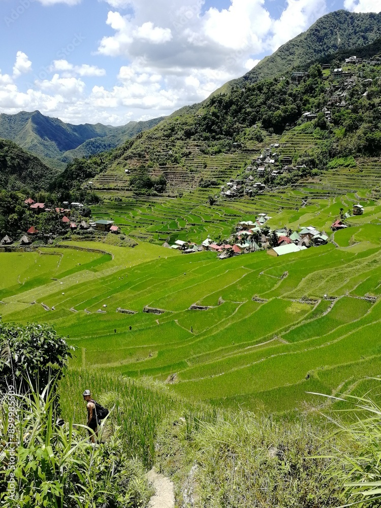 Rice Terraces of the Philippine Cordilleras, rice fields in Banaue ...