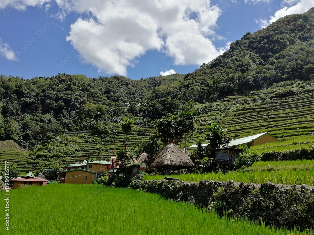 Rice Terraces of the Philippine Cordilleras, rice fields in Banaue ...