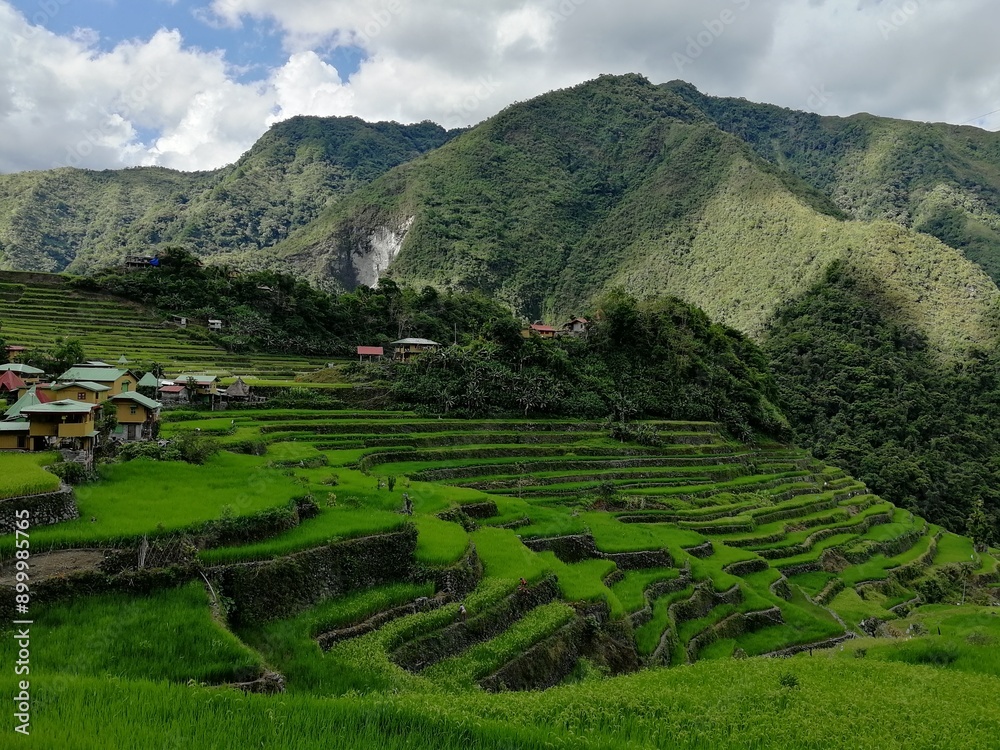 Foto de Rice Terraces of the Philippine Cordilleras, rice fields in ...