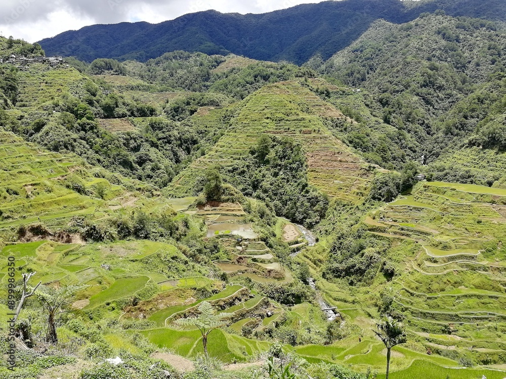 Rice Terraces of the Philippine Cordilleras, rice fields in Banaue ...