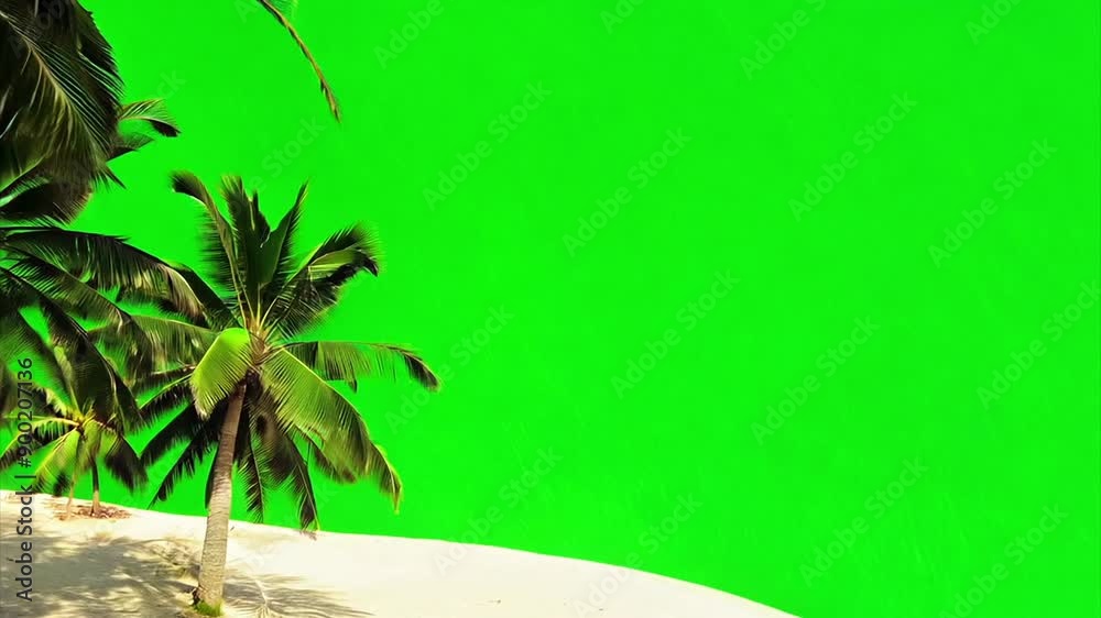 Tracking along a sandy beach on a deserted island with palm trees on ...