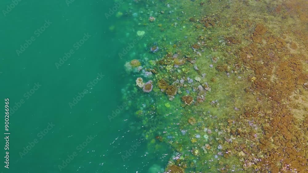 Warmer water temperatures result coral reef bleaching, aerial top view ...