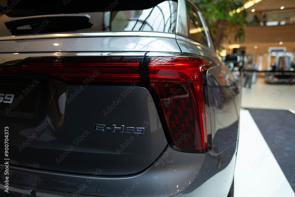 silver Hongqi E-HS9 electric full-size luxury SUV, Chinese Hongqi brand ...