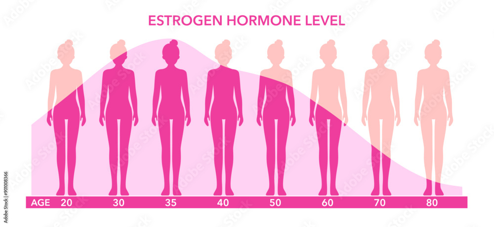 Estrogen hormone level graphic diagram with women body silhouette ...