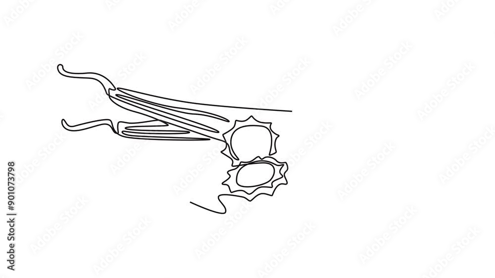 Self drawing animation single line draw whole and sliced healthy ...