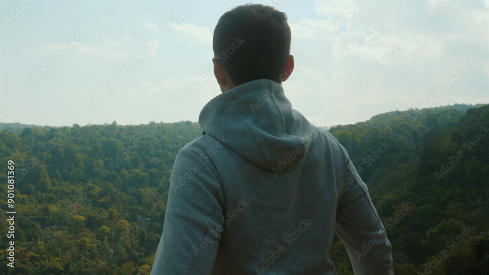 Person standing on edge of forest, looking out at lush green scenery ...