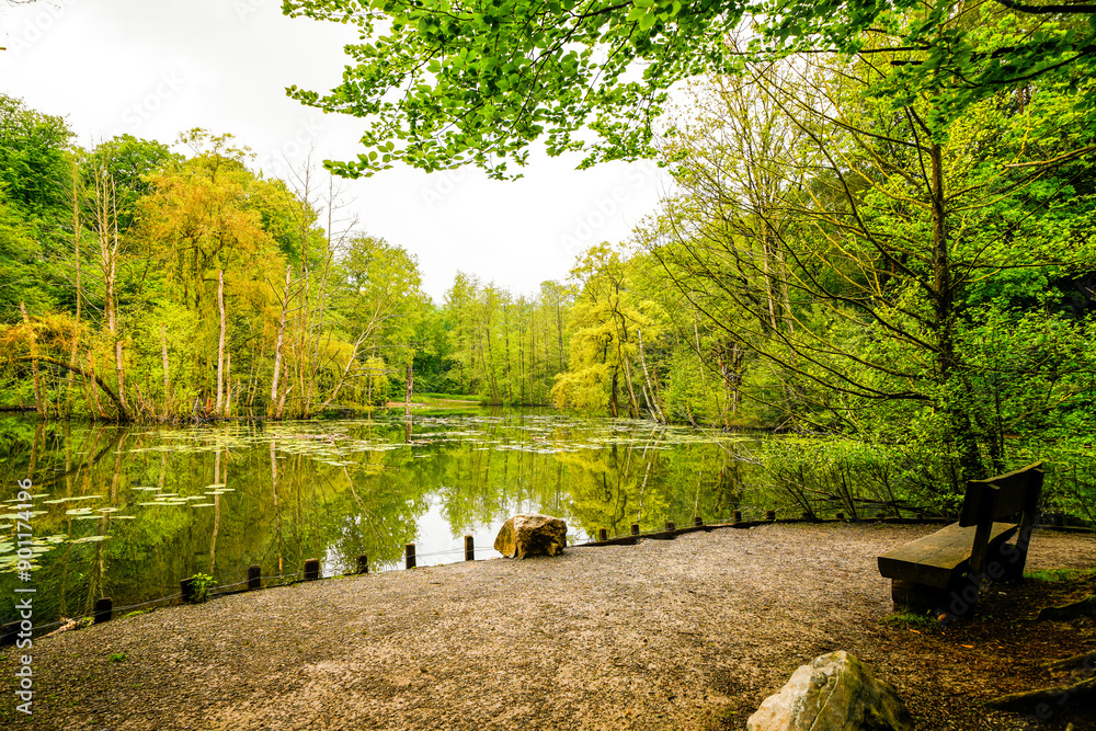 Hexenteich near Menden. Idyllic small pond with green nature in the ...