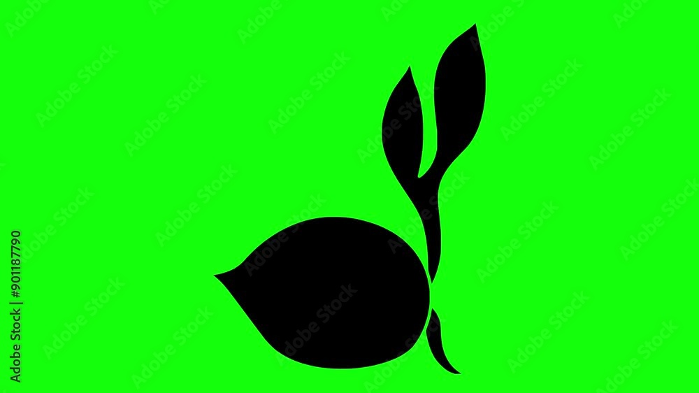 scout illustration video animation adventure nature sprout. coconut ...