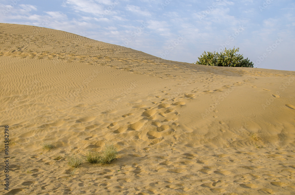 Sam Sand dunes in Thar Desert, grainy sand, Texture, Pattern ...