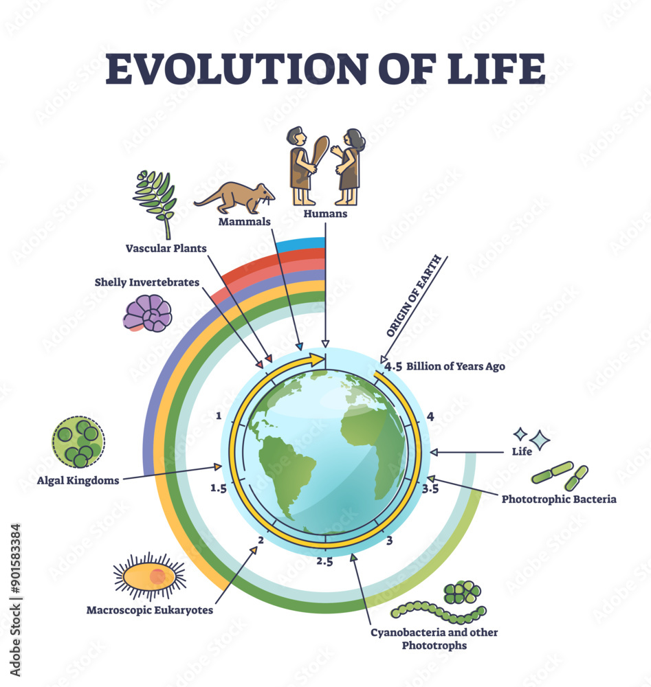 Evolution of life with round timeline for living creatures development ...
