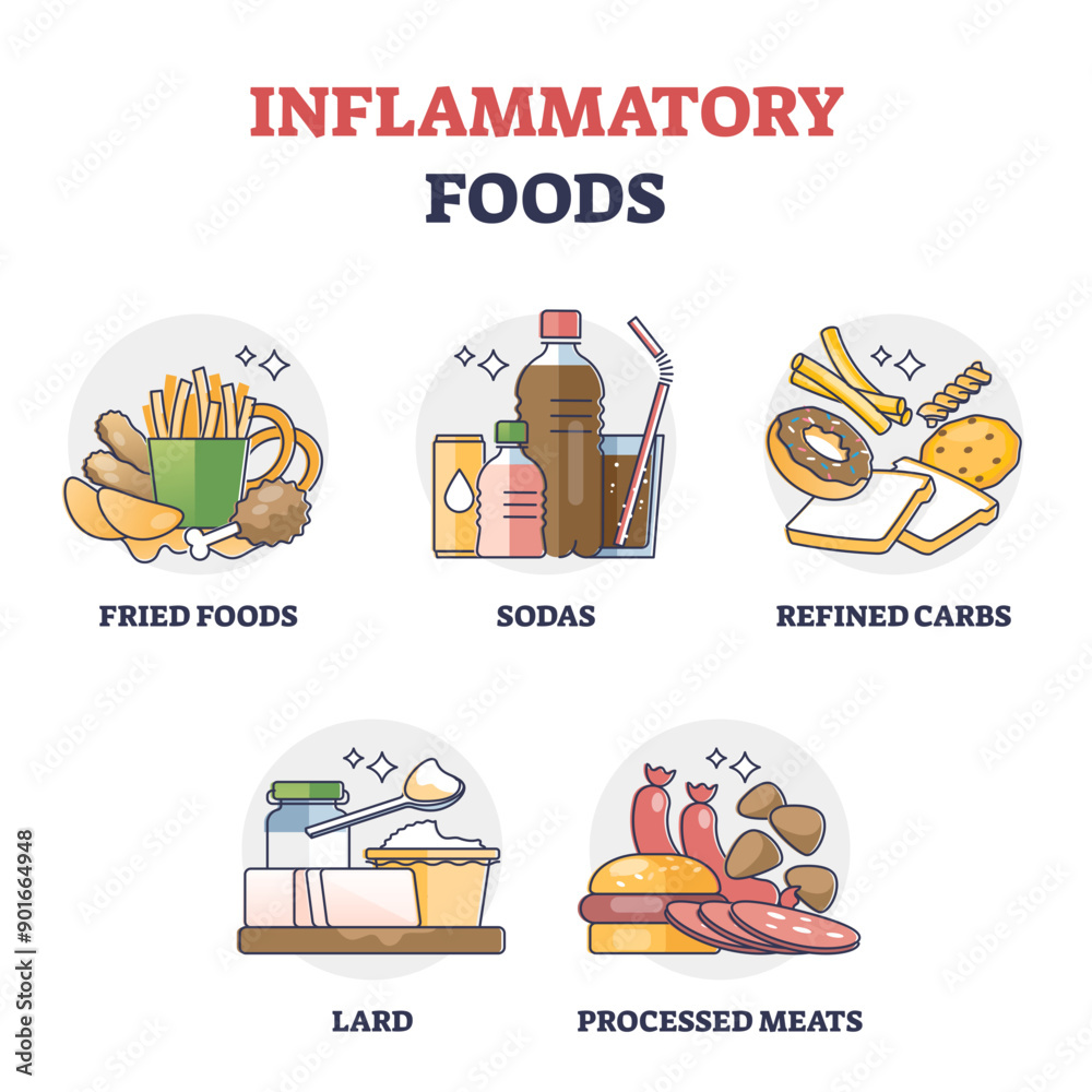 Inflammatory foods with unhealthy daily eating habits outline ...