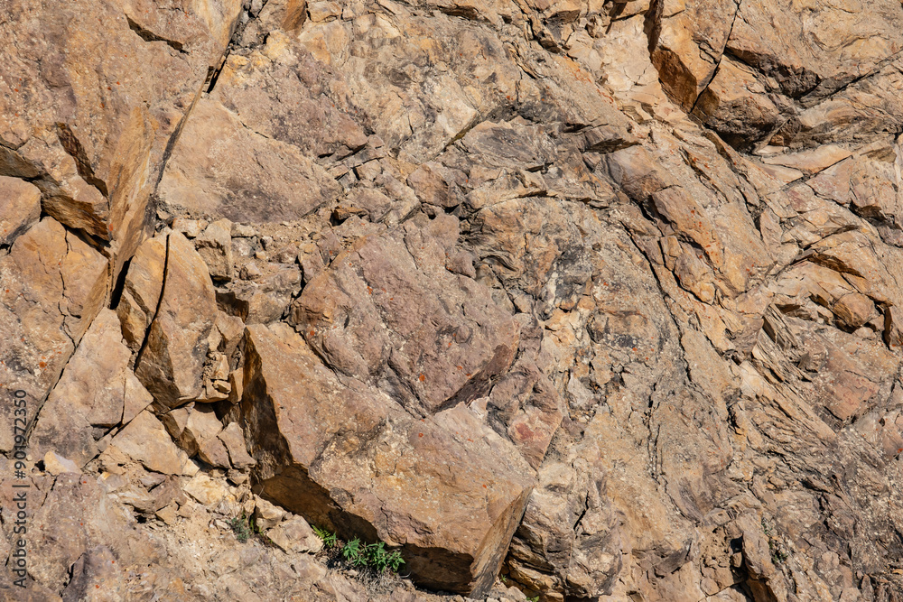 Volcanic rocks of the Cantwell Formation, Denali National Park and ...