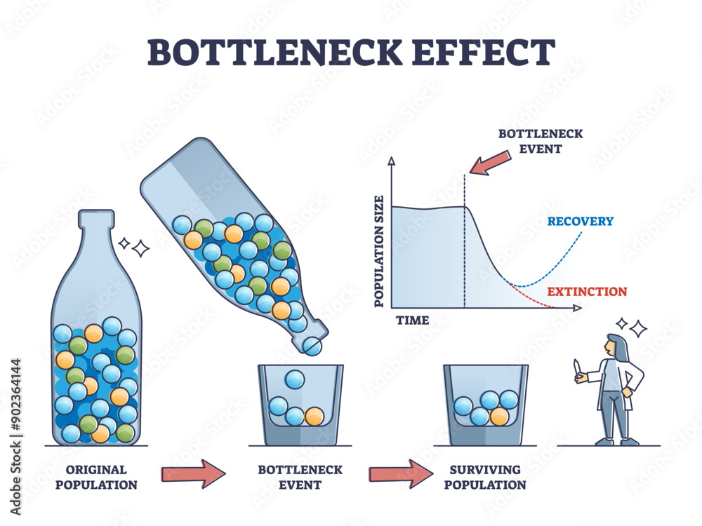 Bottleneck effect axis scheme on genetic drift and population outline ...