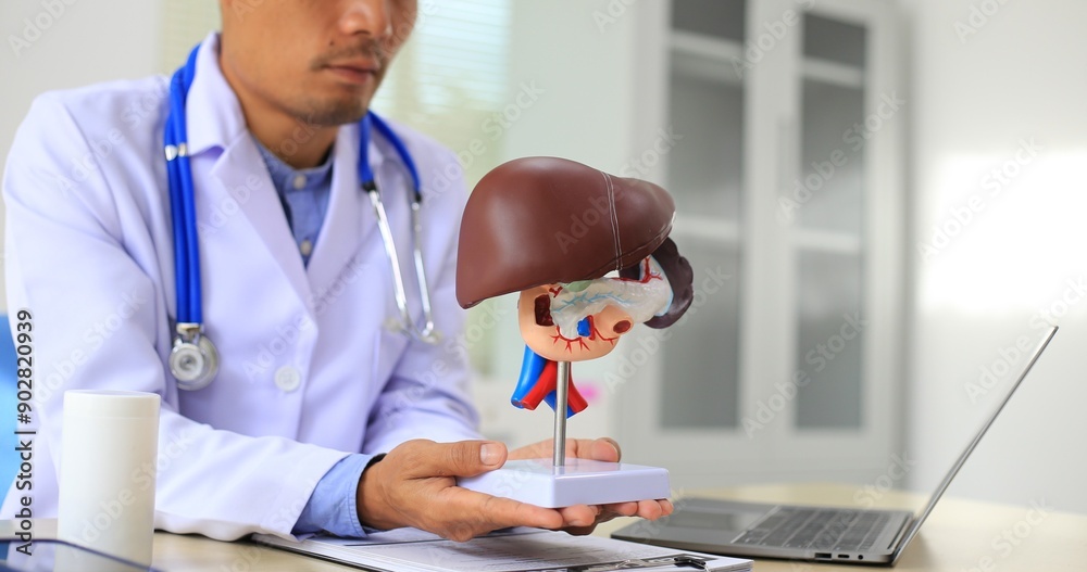 A male gynecologist examines prosthetic organs in a medical room ...