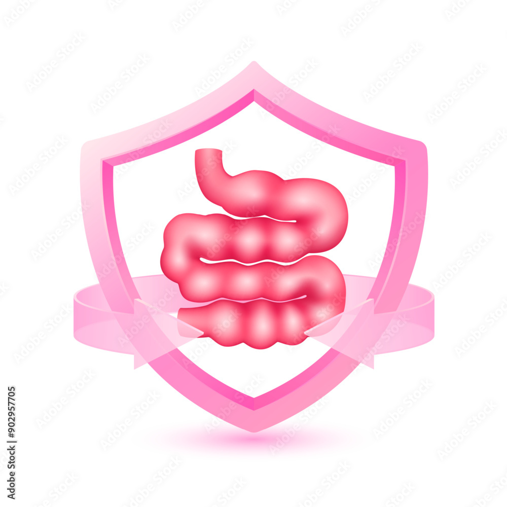 Small intestine human in shield surrounded by pink arrow. Protection ...