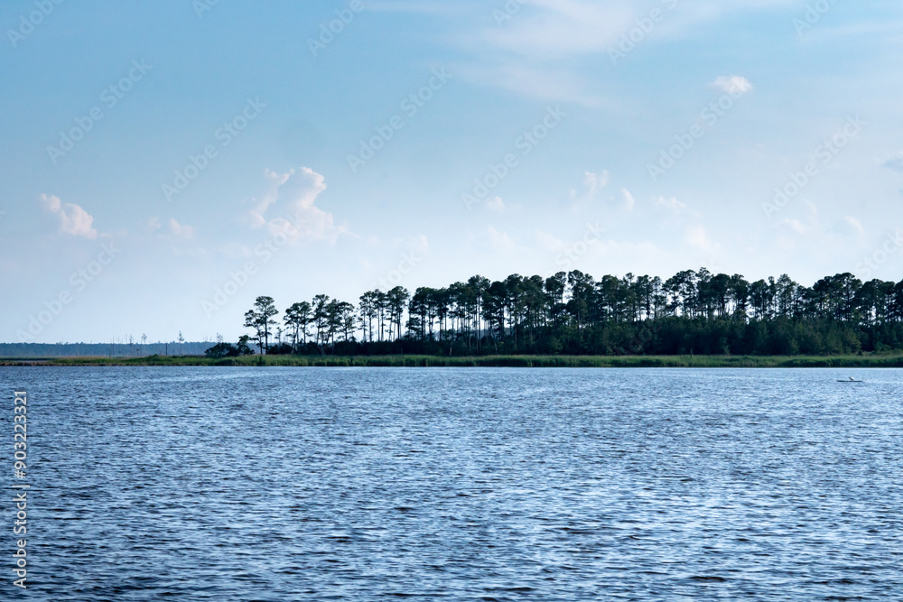 narrow strip of land peninsula full to tall standing trees in sparse ...