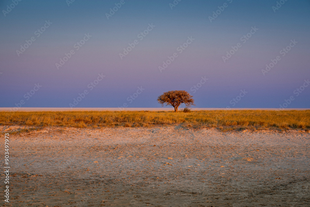 The Makgadikgadi Pan, a salt pan situated in the middle of the dry ...