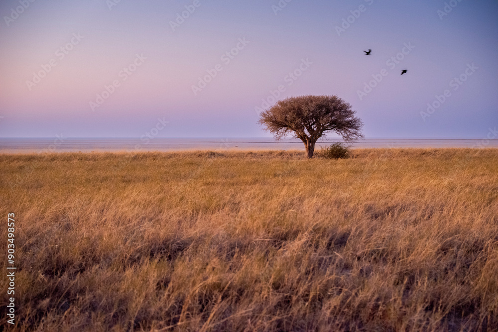 The Makgadikgadi Pan, a salt pan situated in the middle of the dry ...