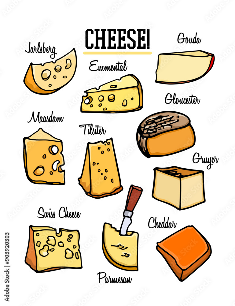 Vector visual guide of traditional, most common types of cheese ...