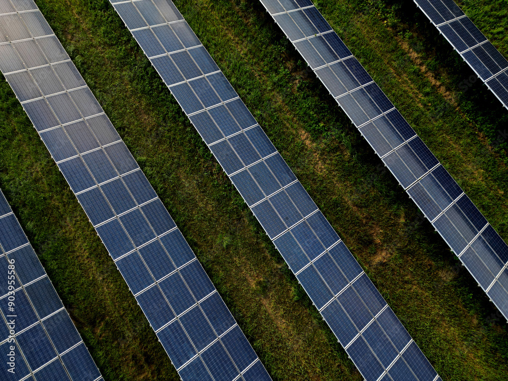 photovoltaic power plant in a rapeseed field. chemical technology crops ...