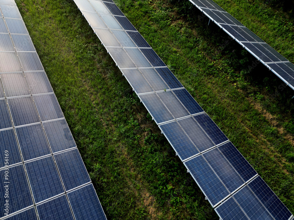 photovoltaic power plant in a rapeseed field. chemical technology crops ...