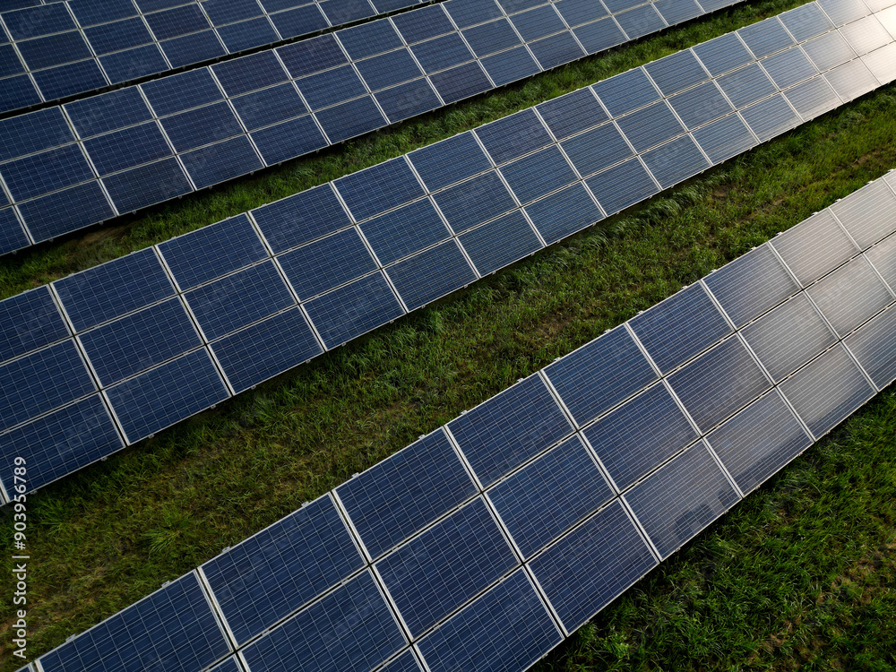 photovoltaic power plant in a rapeseed field. chemical technology crops ...