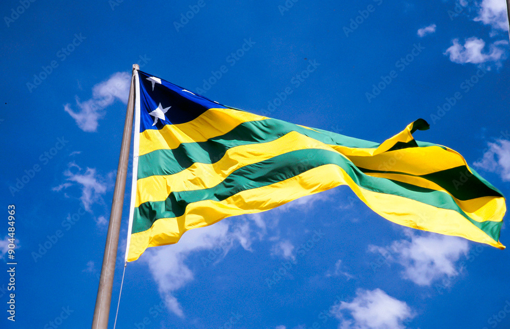 Goiás State Flag. The yellow represents the gold, the green represents ...