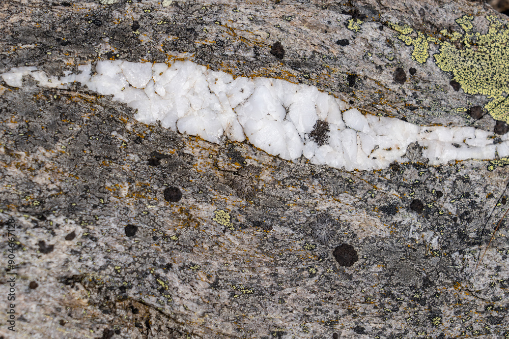 mica-quartz schist / Yukon-Tanana Terrane bedrock, Savage River canyon ...