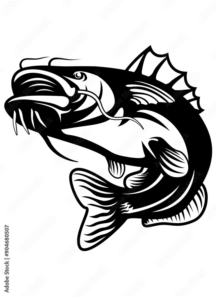 Cat Fish | Tropical Animal Fish | Outdoor Fishing | Big Catch | Lake ...