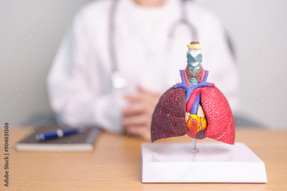 Doctor with Respiratory system anatomy for Diseases. Lung Cancer ...