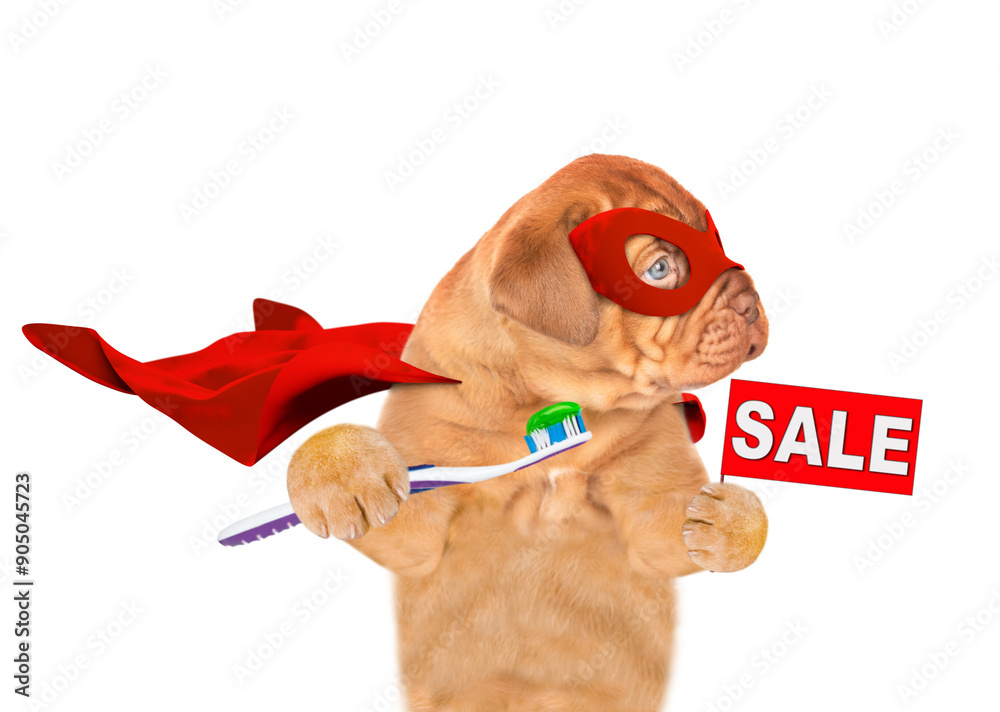 Happy Mastiff puppy wearing superhero costume showing signboard with ...