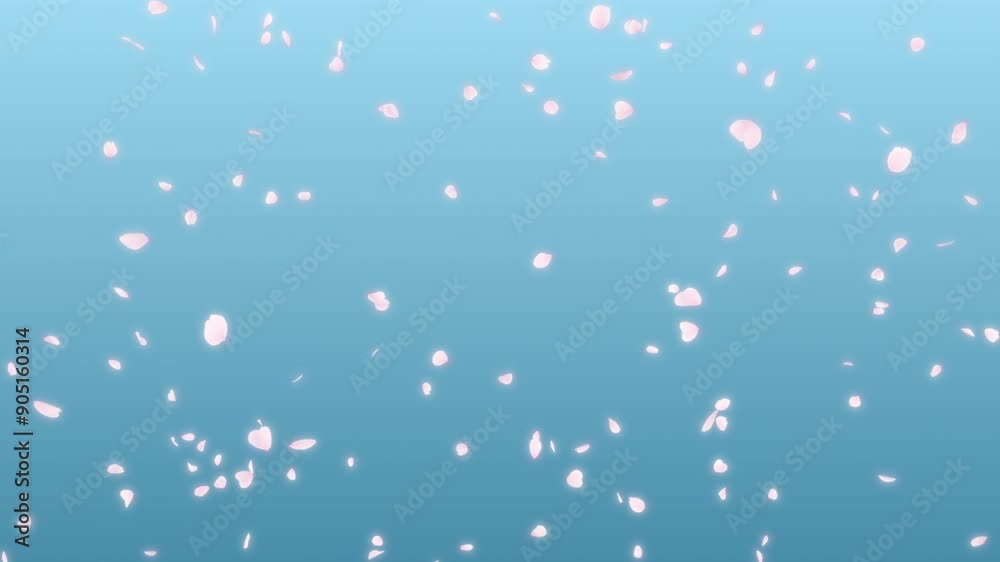Cherry Blossom Petals Falling Loop on Pastel Background. Cherry ...