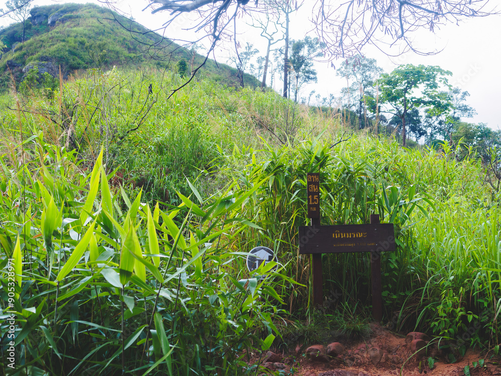 Hiking trail in Phu Soi Dao National Park, Thailand. Signs in Thai ...