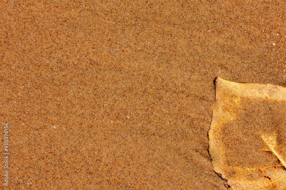 The beach sand is only partially obstructed by a partial view of a ...